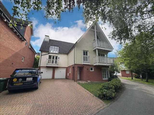 5 bed house to rent
