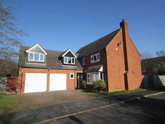 5 bed house to rent