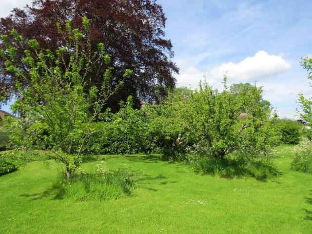 5 bed house for sale