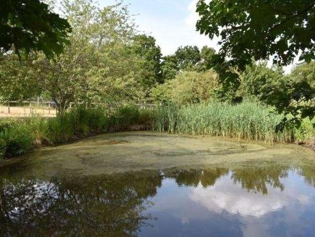 5 bed house for sale