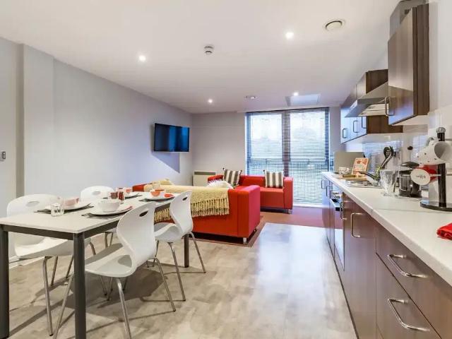 5 Bed Premium Studio