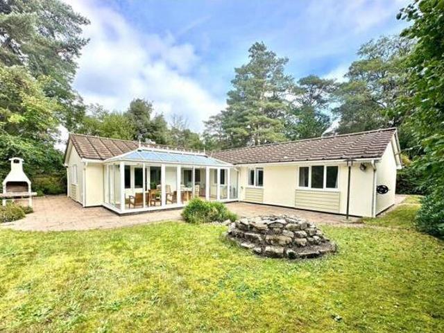5 Bedroom Bungalow For Sale In Ringwood, Hants