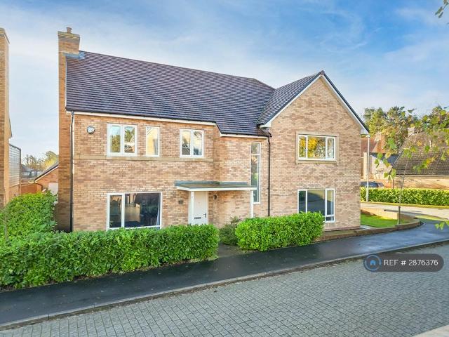 5 bedroom detached house to rent