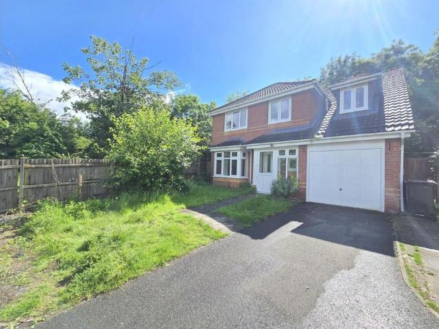 5 bedroom detached house to rent