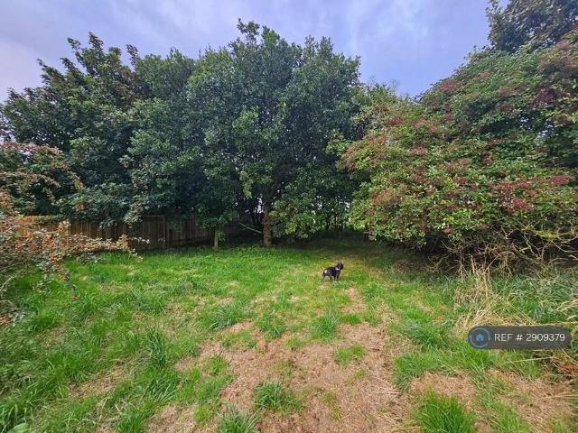 5 bedroom detached house to rent