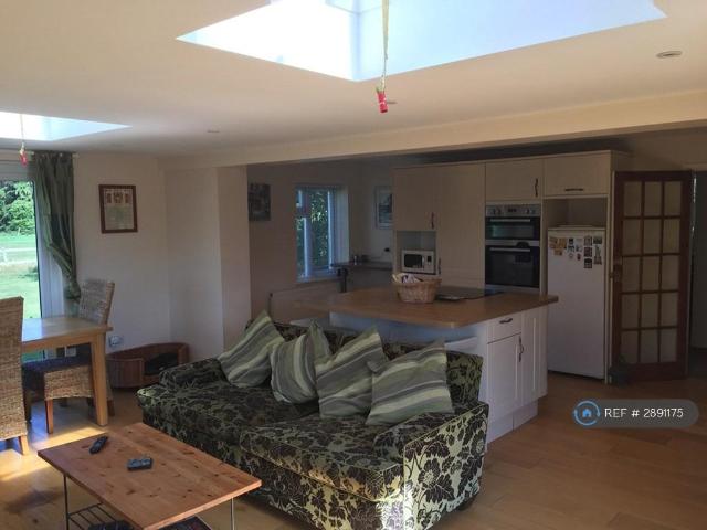 1 bedroom house share to rent