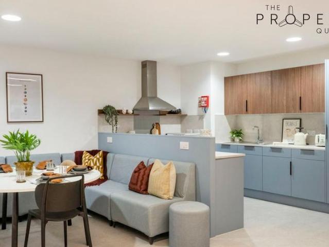5 bedroom flat to rent