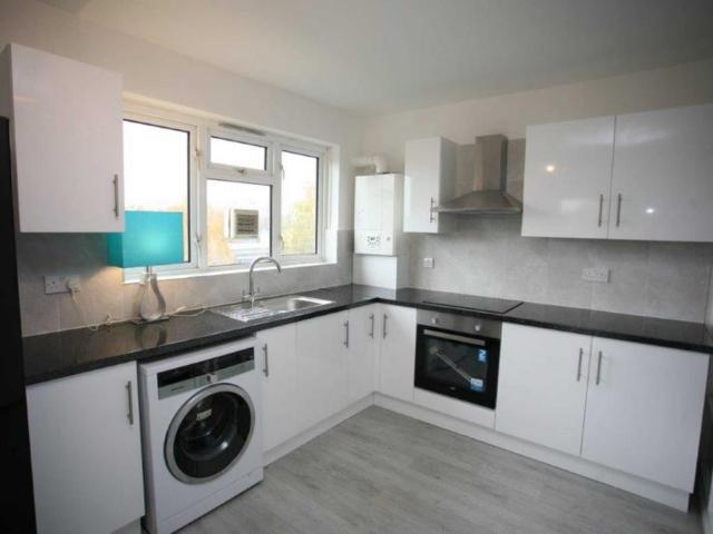 5 bedroom flat to rent