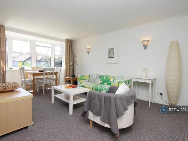 5 bedroom flat to rent