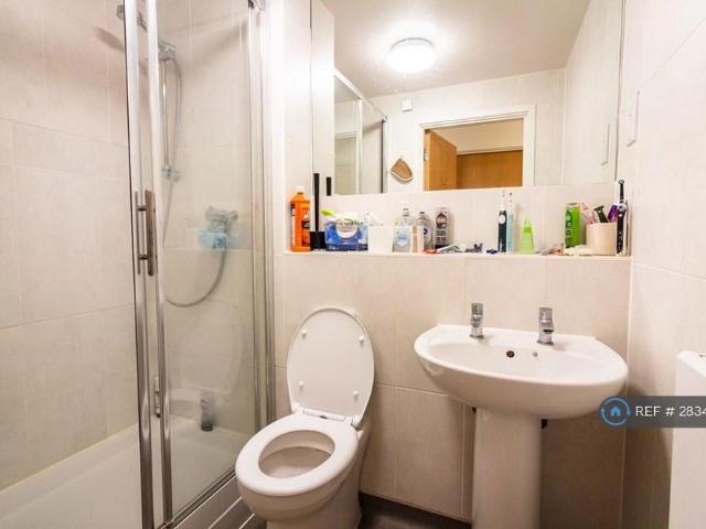 5 bedroom flat to rent