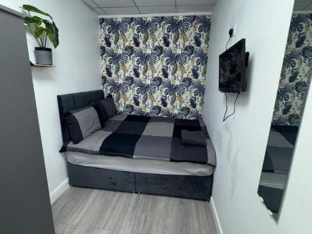 5 bedroom flat to rent
