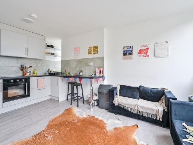 5 bedroom flat to rent