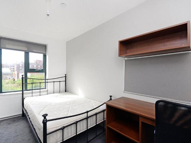 5 bedroom flat to rent