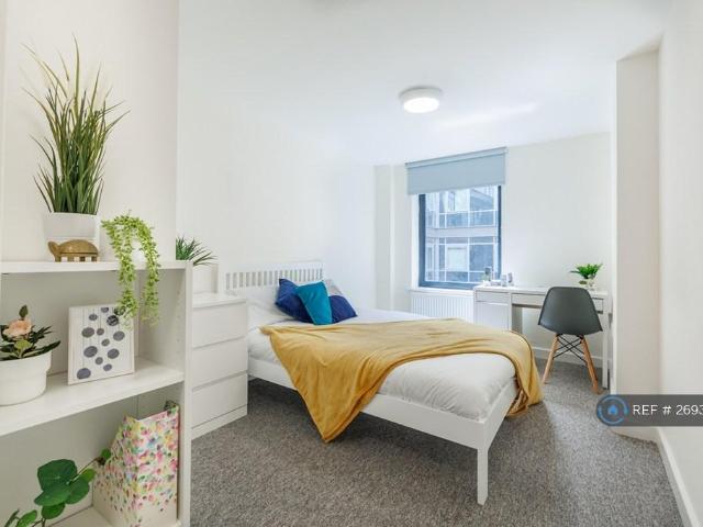 5 bedroom flat to rent