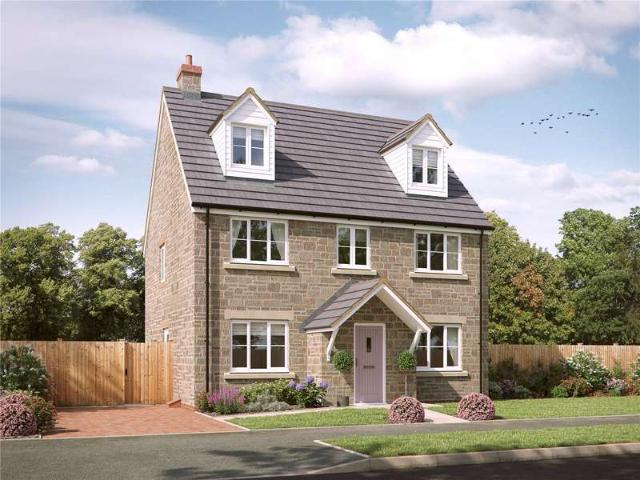 5 Bedroom House