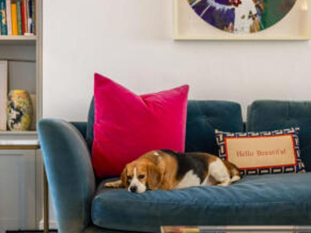5 bedroom house for sale in Clifton Terrace, Brighton, BN1