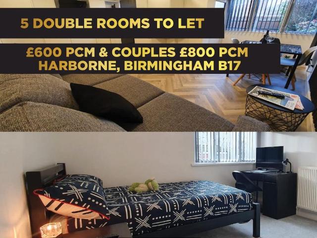 5 bedroom house share to rent