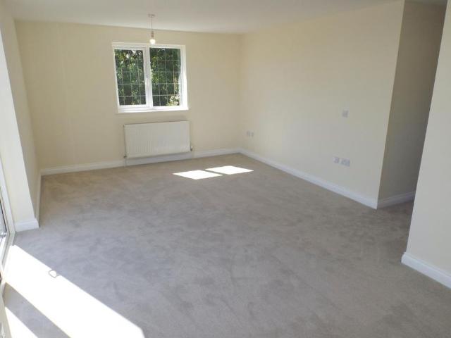 5 bedroom house to rent
