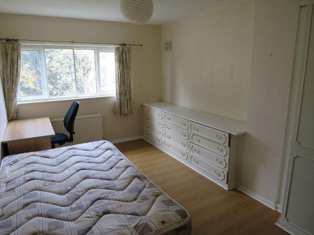 5 bedroom house to rent