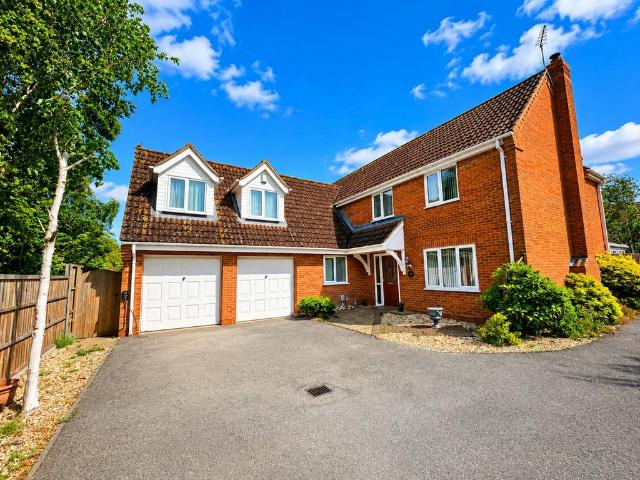 5 bedroom house to rent