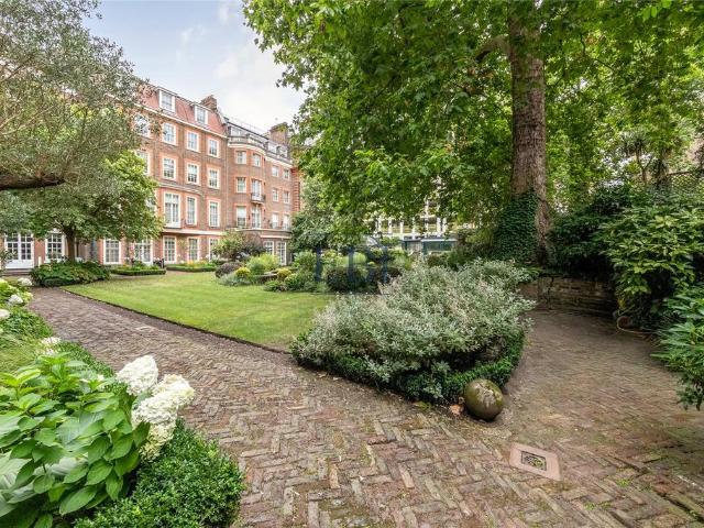 5 bedroom house to rent