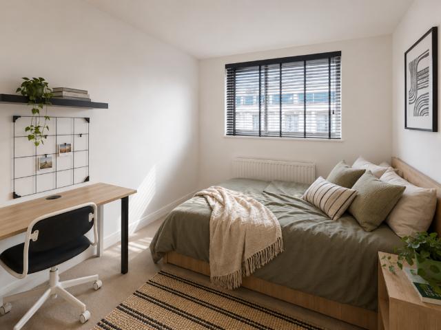 5 bedroom house to rent