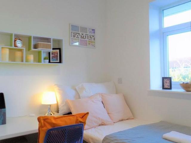 5 bedroom house to rent
