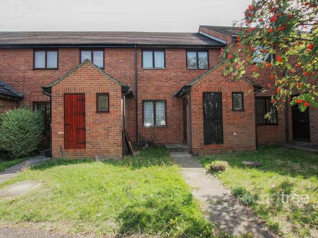 5 bedroom house to rent