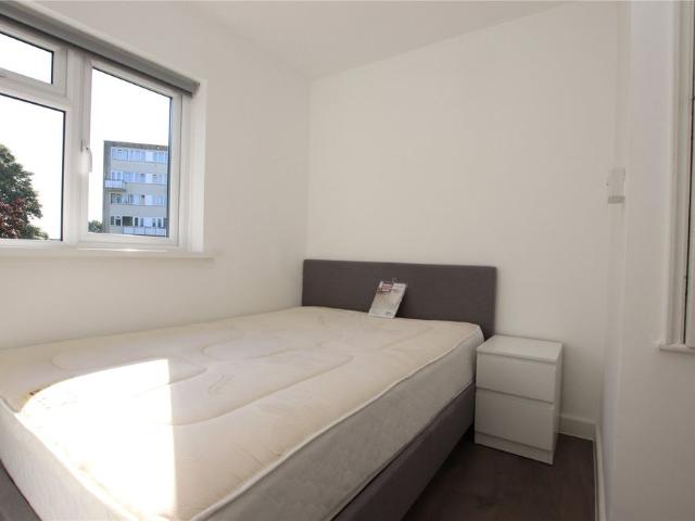 5 bedroom house to rent