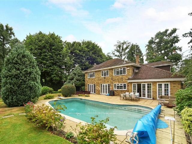 5 bedroom house to rent