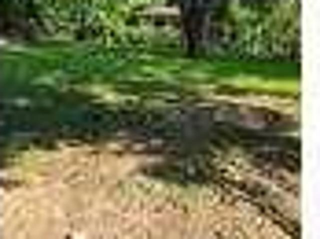5 Bedroom Homes For Rent Houston Texas