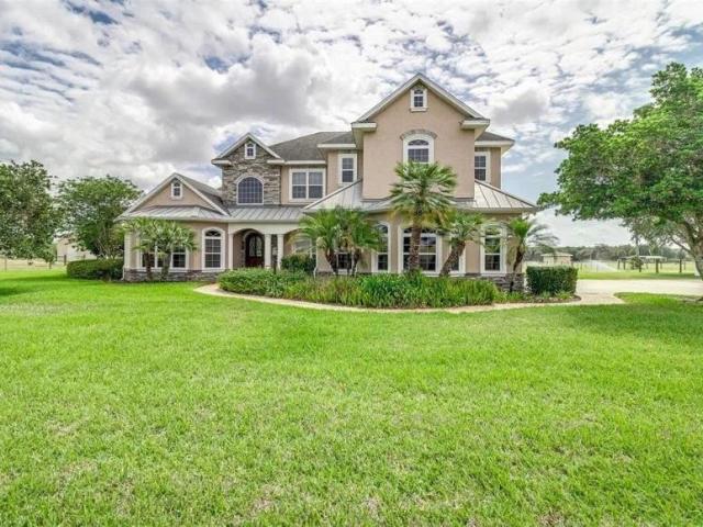 5 bedroom, Haines FL 33884 104257737