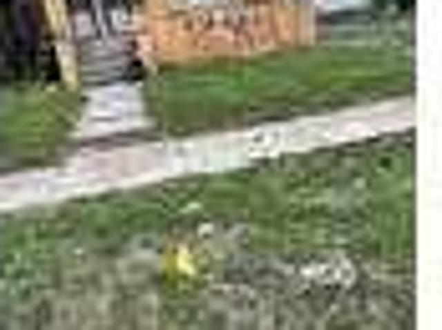 5 bedroom in Detroit Michigan 48227
