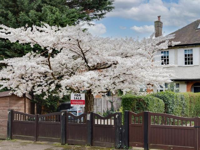 5 bedroom semi detached house for sale
