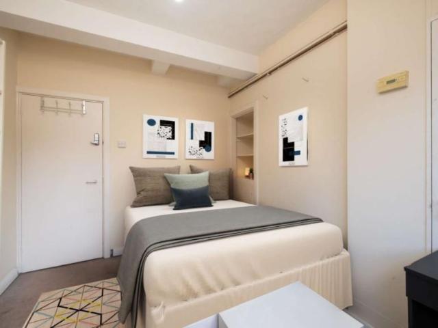 5 Bedroom Shared Living/roommate London London 101850199