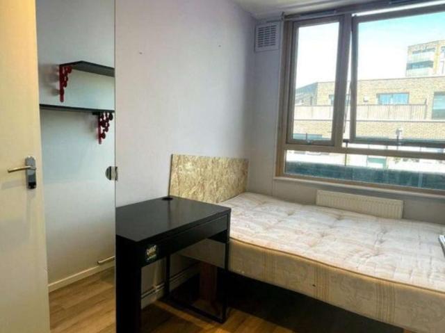 5 Bedroom Shared Living/roommate London London 103580610