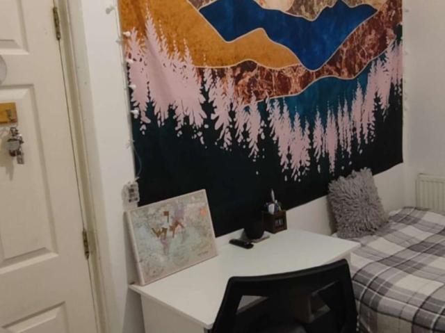 5 Bedroom Shared Living/roommate London London 103697265