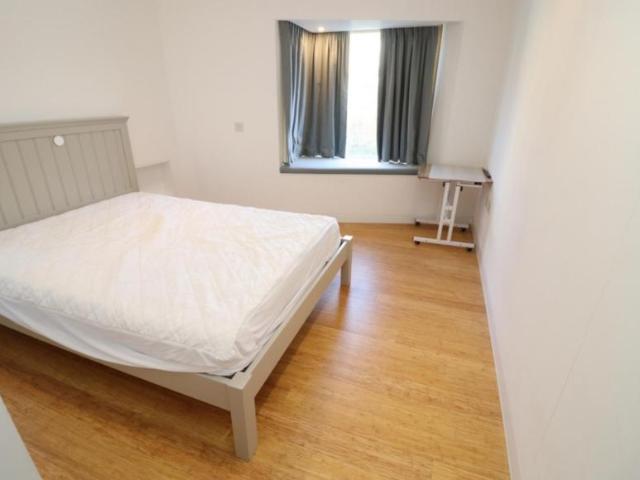 5 Bedroom Shared Living/roommate London London 90560500
