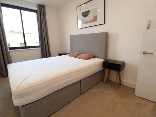 5 Bedroom Shared Living/roommate London London 90560713