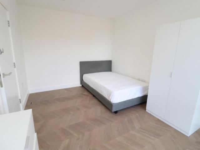 5 Bedroom Shared Living/roommate London London 90561385