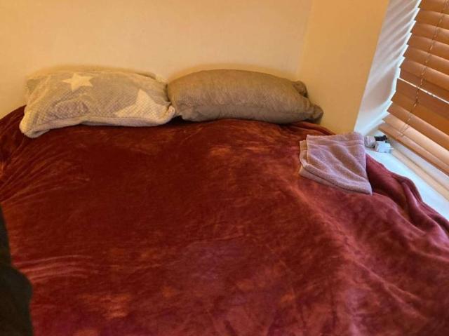 5 Bedroom Shared Living/roommate London London 91660176