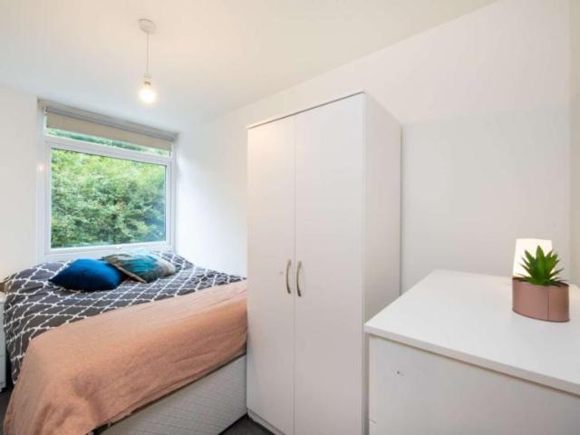 5 Bedroom Shared Living/roommate London London LS101481578