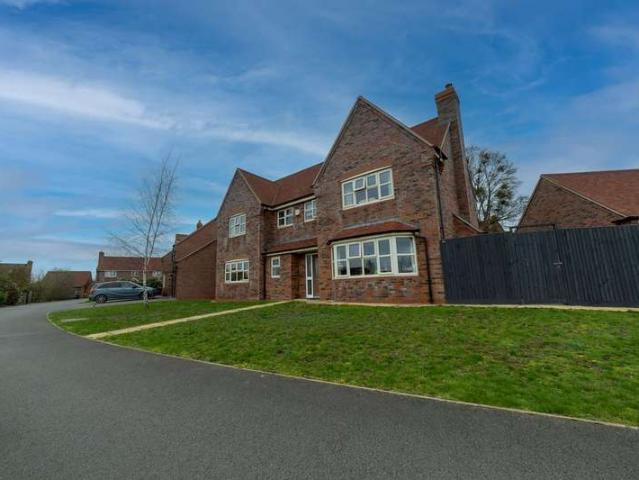 5 Bedroom Studio Flat