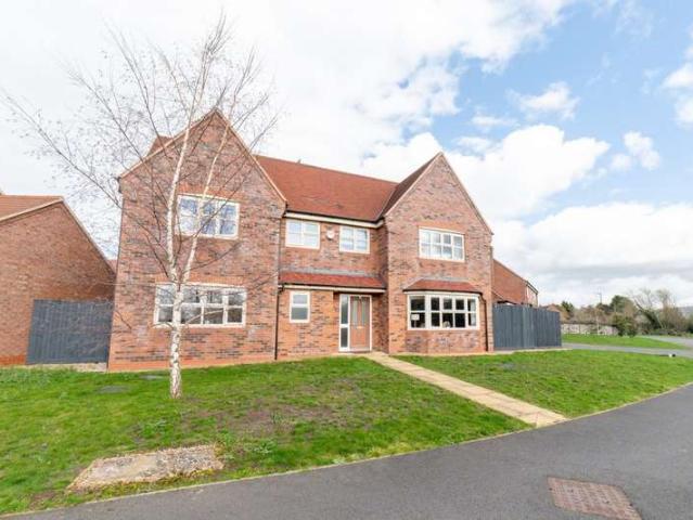 5 Bedroom Studio Flat