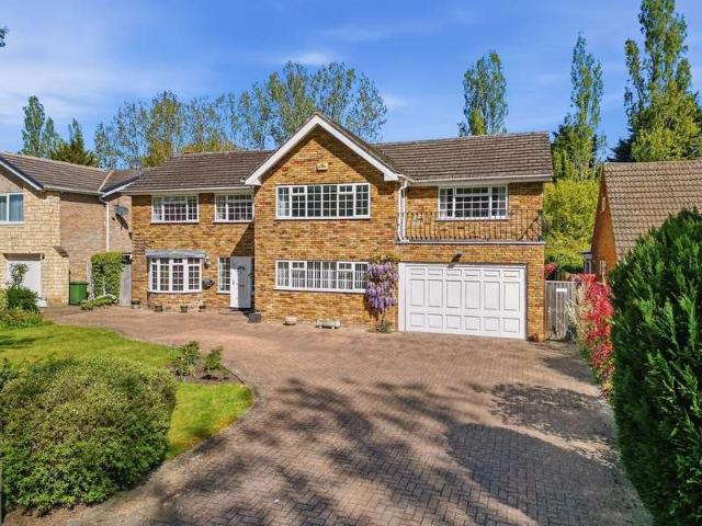5 Bedroom Property