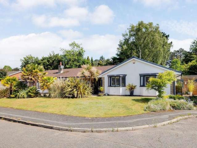 5 Bedroom Property