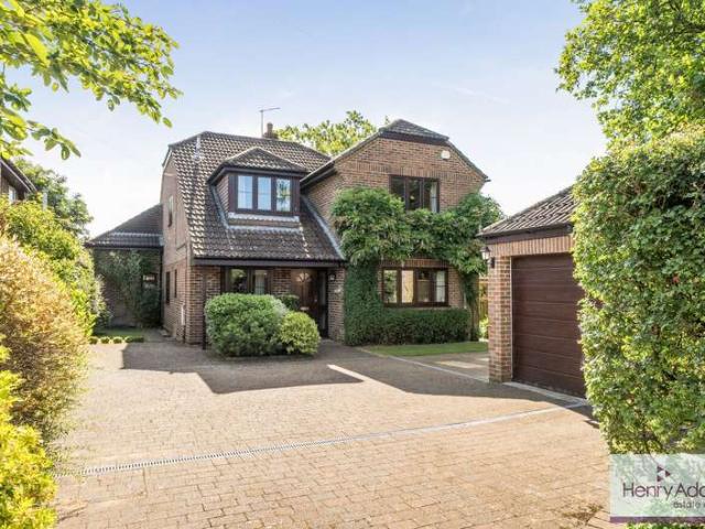 5 Bedroom Property