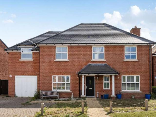 5 Bedroom Property