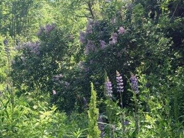 5 bedroom, Waldoboro ME 04572 105123063