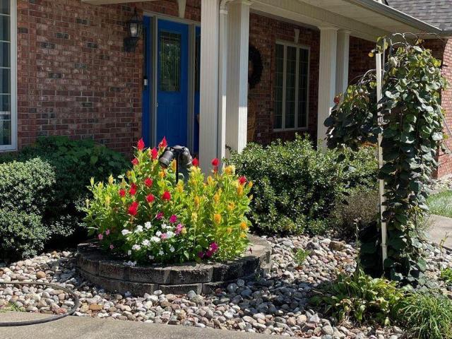 5 bedroom, West Frankfort IL 62896 100973268